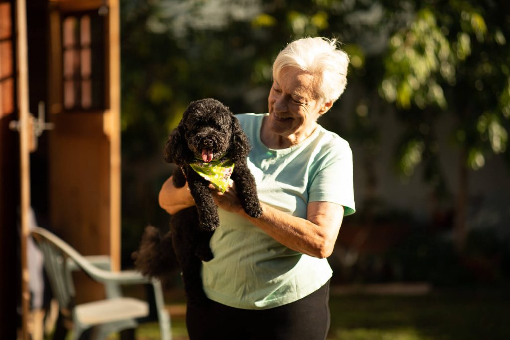 About Us - Paws Inn Botany Bay