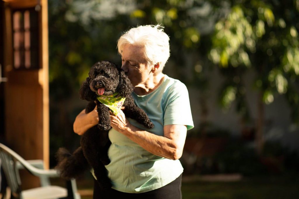Dog Boarding Sydney - Paws Inn - No Kennels or Cages Dog Boarding